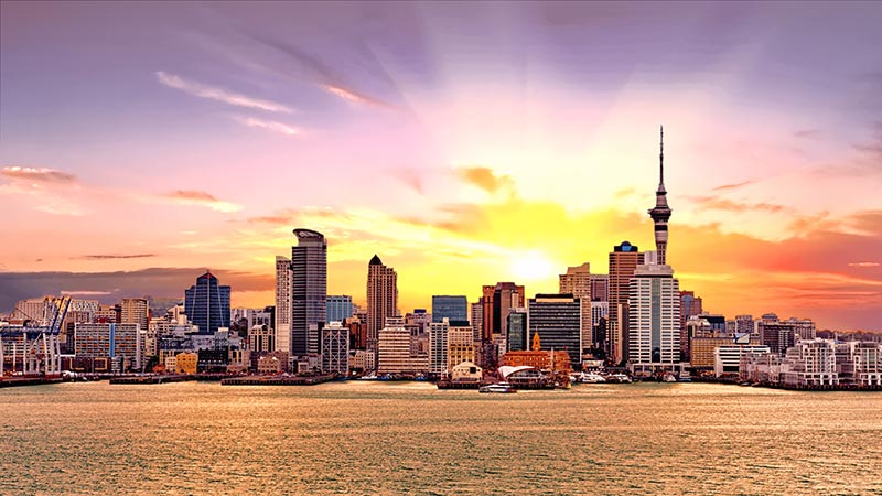 Travel Support | Visa